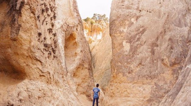 Best Hiking Trails in Cardiff-by-the-Sea | Cardiff Vacations