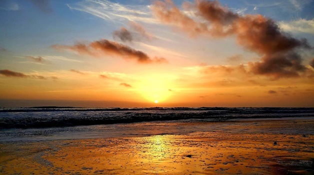 Why Cardiff-by-the-Sea Has the Best Beaches? | Cardiff Vacations