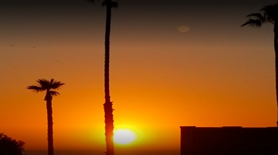 Popular Nightlife Venues in Cardiff-by-the-Sea | Cardiff Vacations